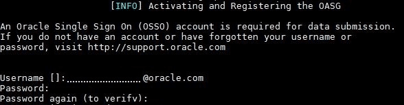 A Step By Step Guide To Install Oracle Platinum Service Advanced ...
